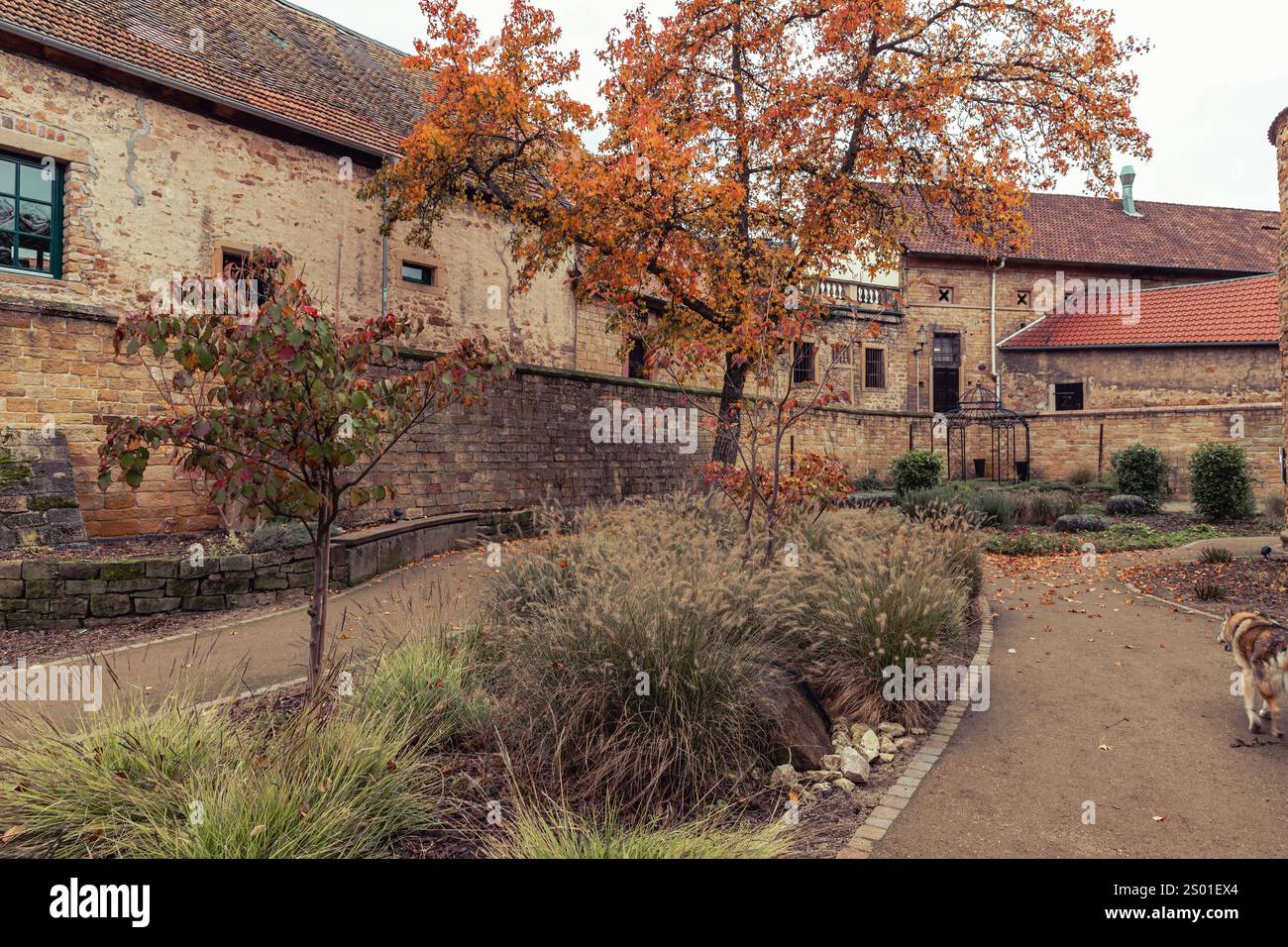 popular cultural travel destinations in Germany Adventure Park in ...