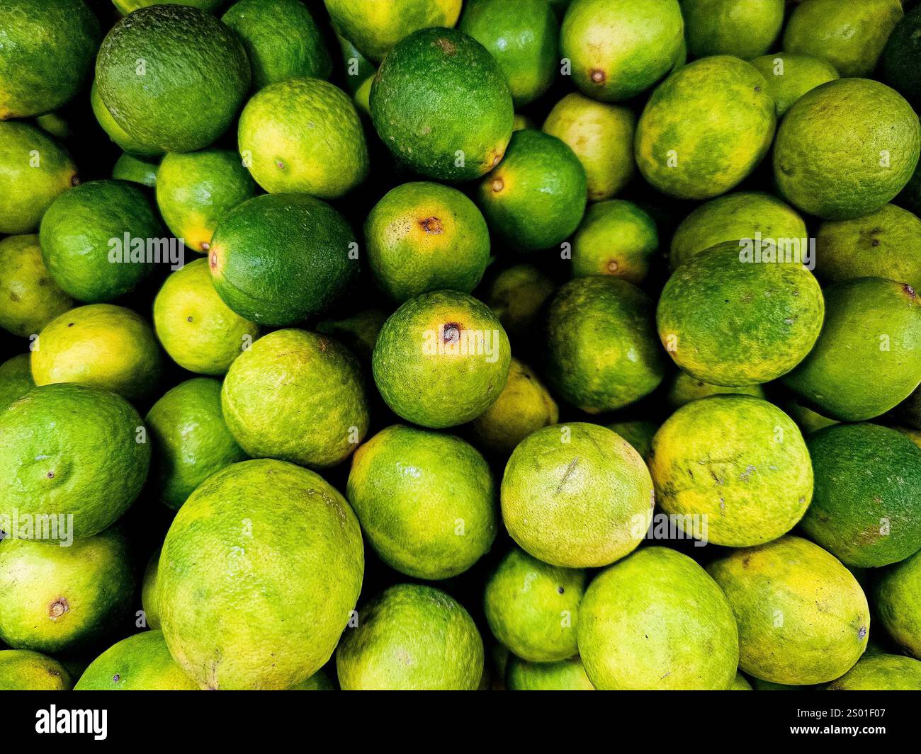 Peruvian limon is best with Ceviche Stock Photo - Alamy