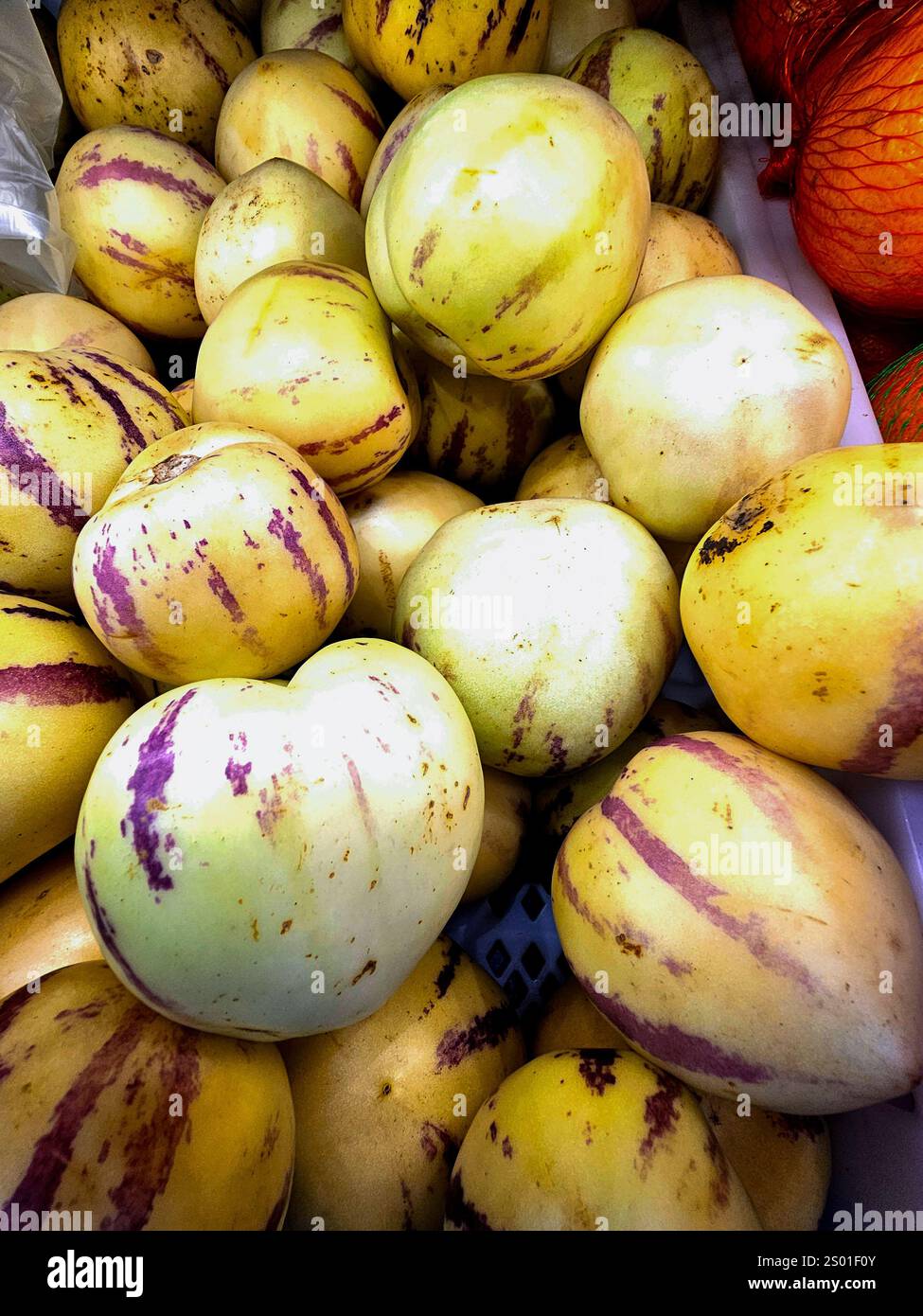 Pepino dulce (Solanum muricatum) is common in Peruvian markets Stock ...
