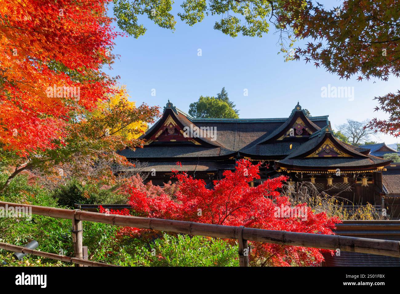 Beautiful autumn scenery of maple trees by majestic traditional ...