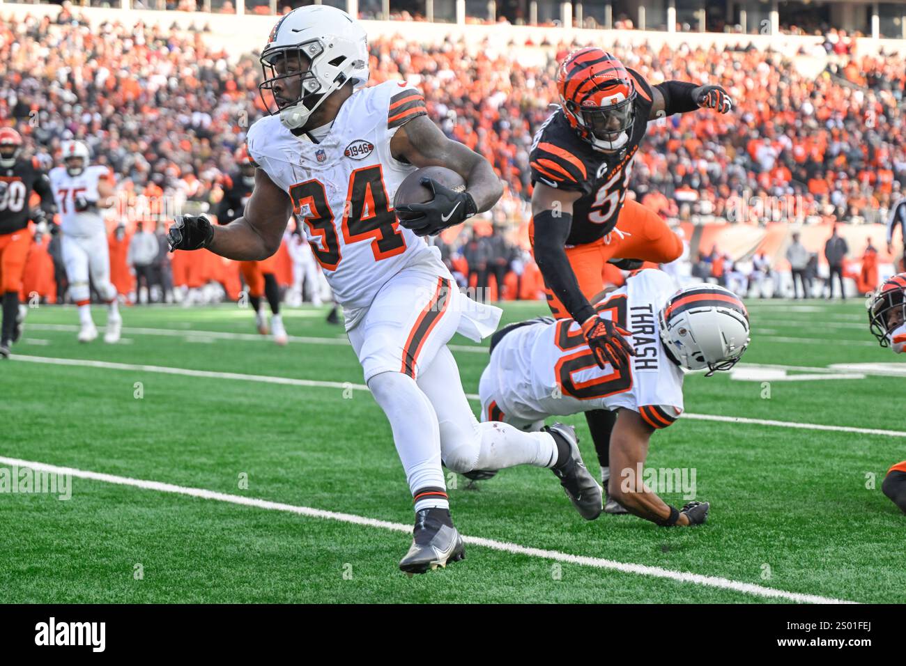 DETROIT, MI - DECEMBER 22: Cleveland Browns WR Jamari Thrash (80 ...