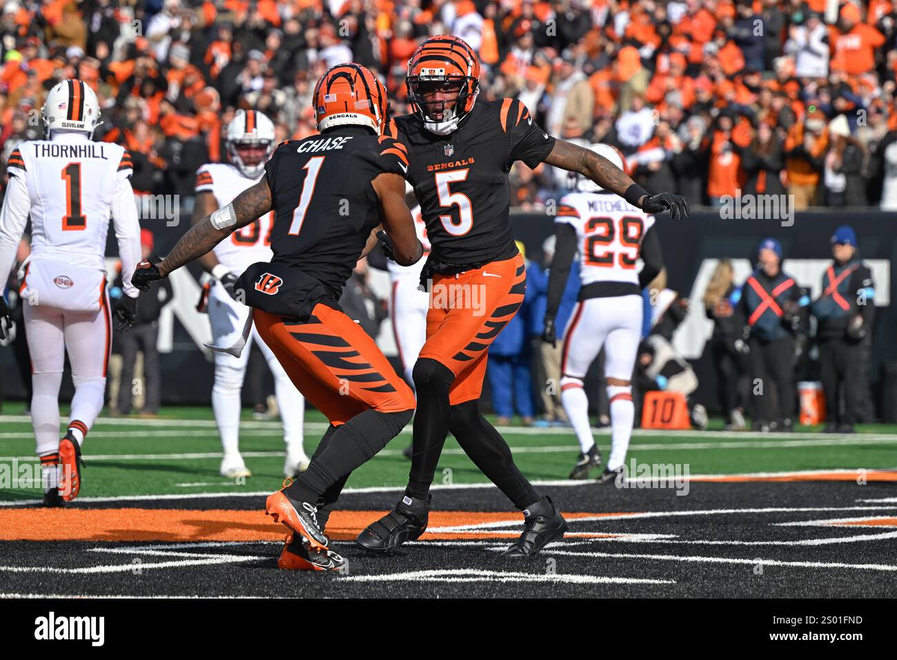 DETROIT, MI - DECEMBER 22: Cincinnati Bengals Wide receiver (5) Tee ...