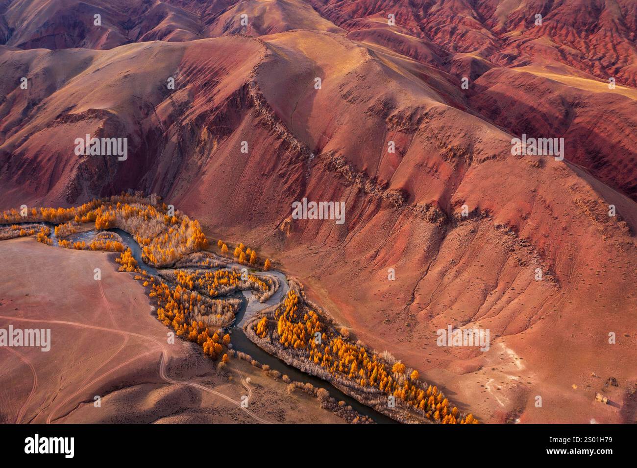 Vibrant aerial view of red and orange mountains with a winding river ...