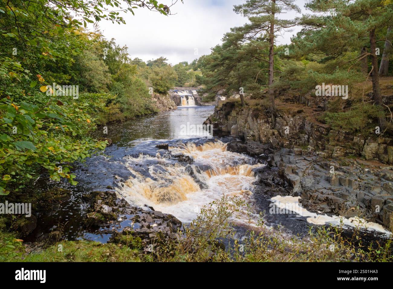 Low Force Waterfall, Upper Teesdale, County Durham, England, UK Stock ...
