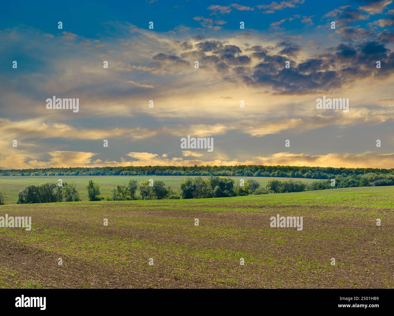 Harvested Fields and meadows landscape in Moldova. Wavy country scenery ...