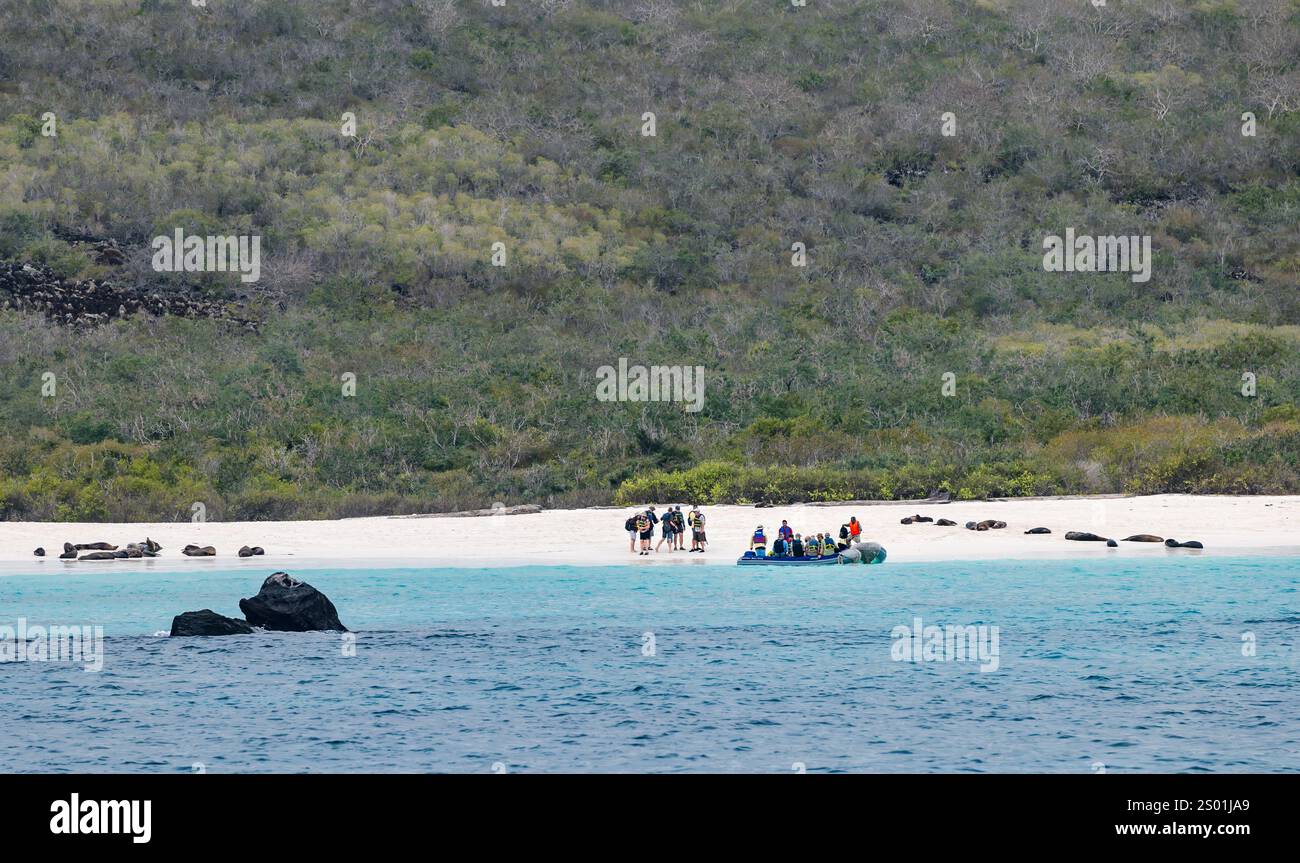 Tourists getting off rigid inflatable boat on beach in Gardner Bay with ...
