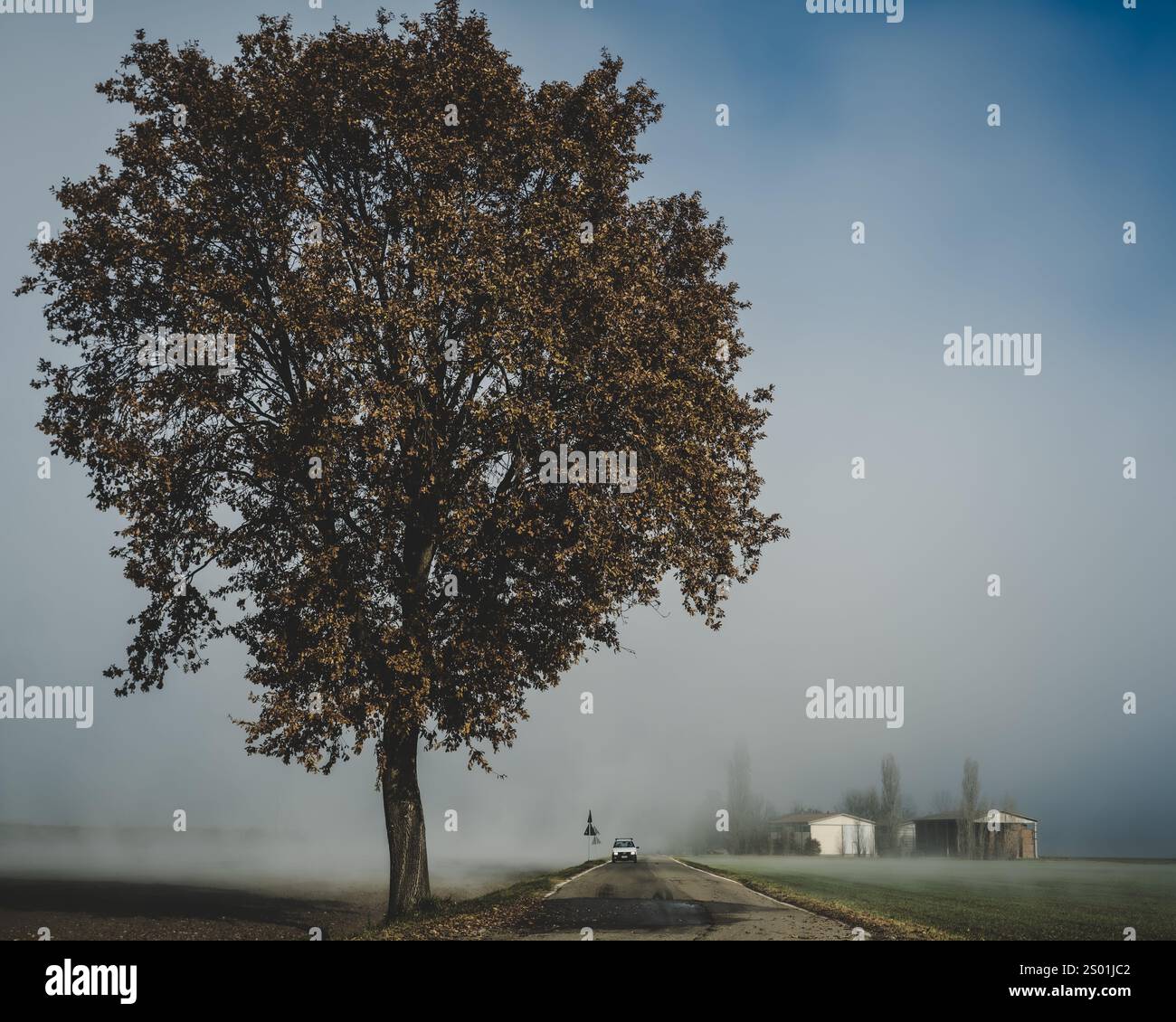 Big oak valley hi-res stock photography and images - Alamy