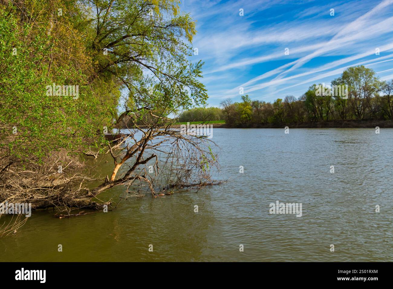 The river of Tisza at village Mindszent Stock Photo - Alamy