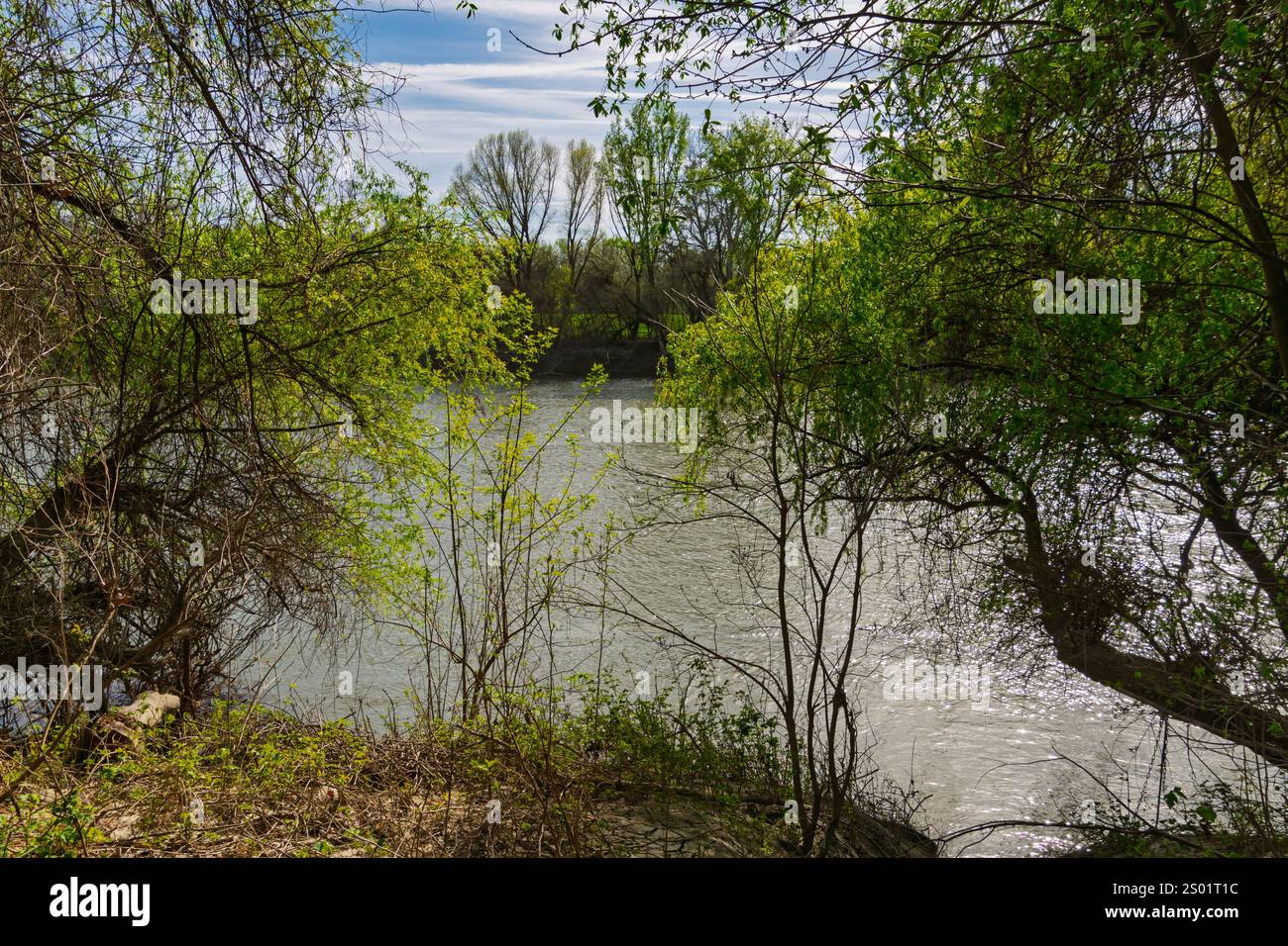 The river of Tisza at village Mindszent Stock Photo - Alamy