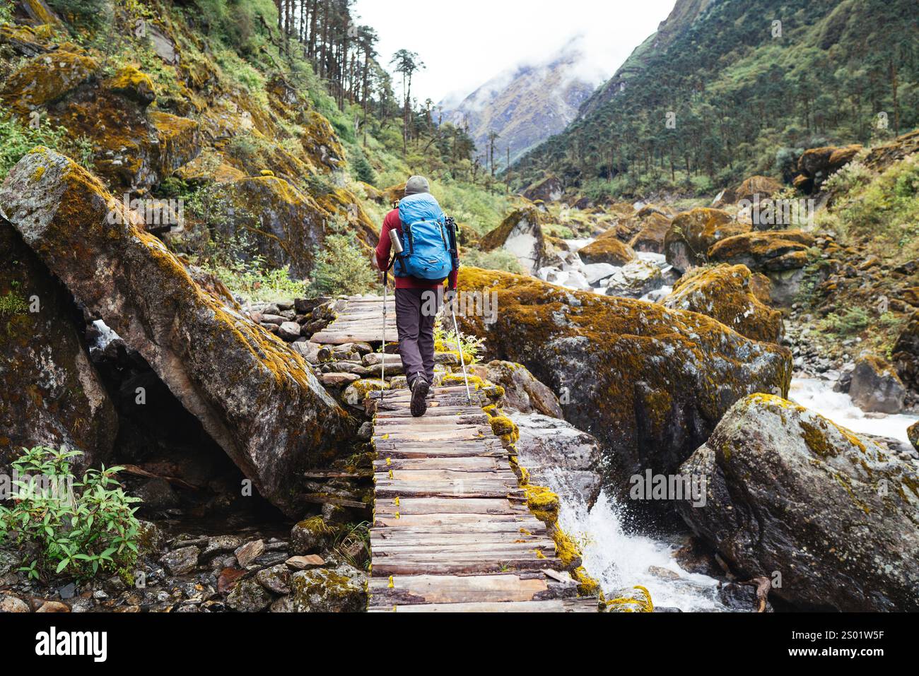 Man with backpack and trekking poles crossing mountain creek wooden ...