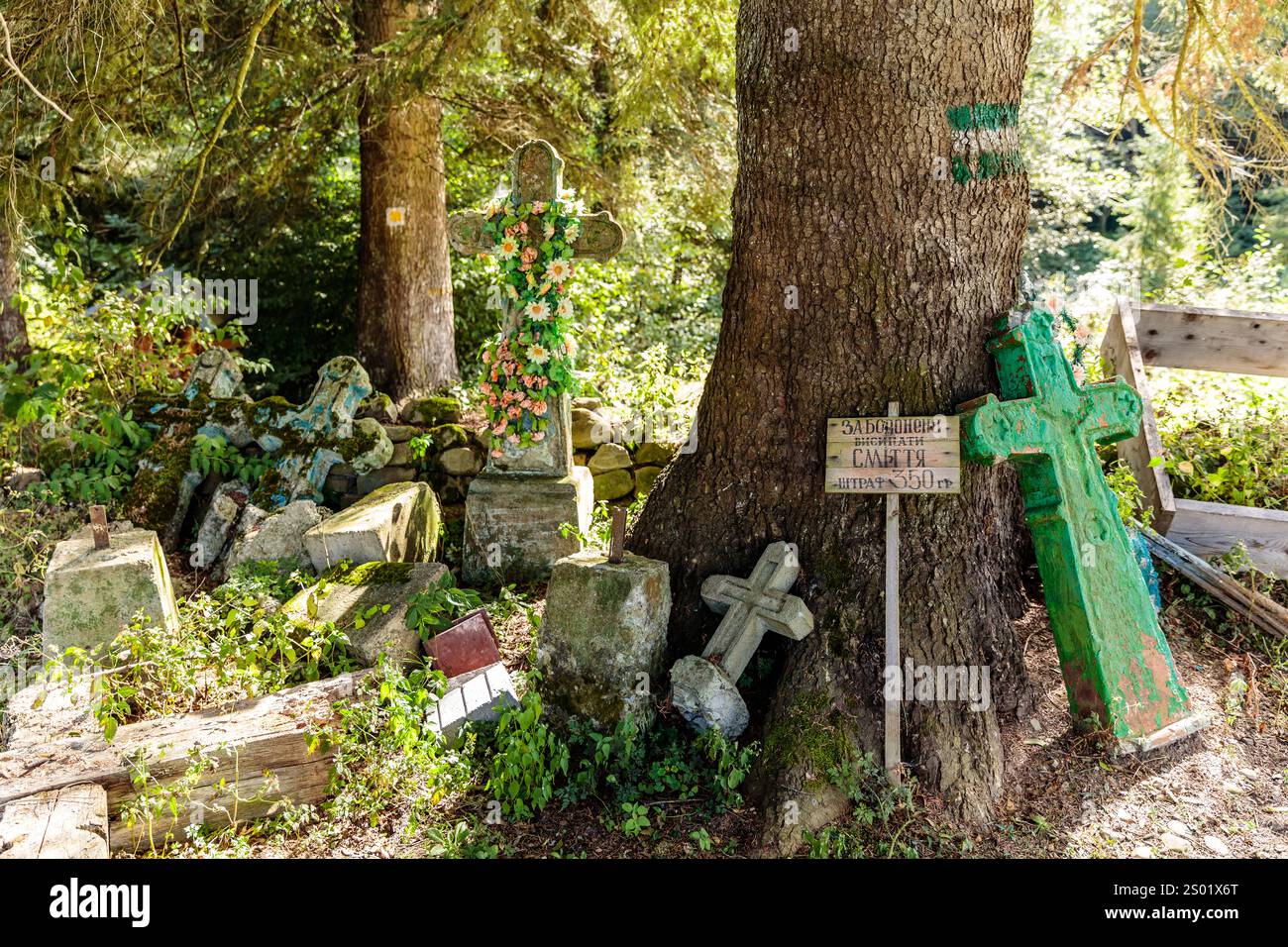Somber grave hi-res stock photography and images - Alamy