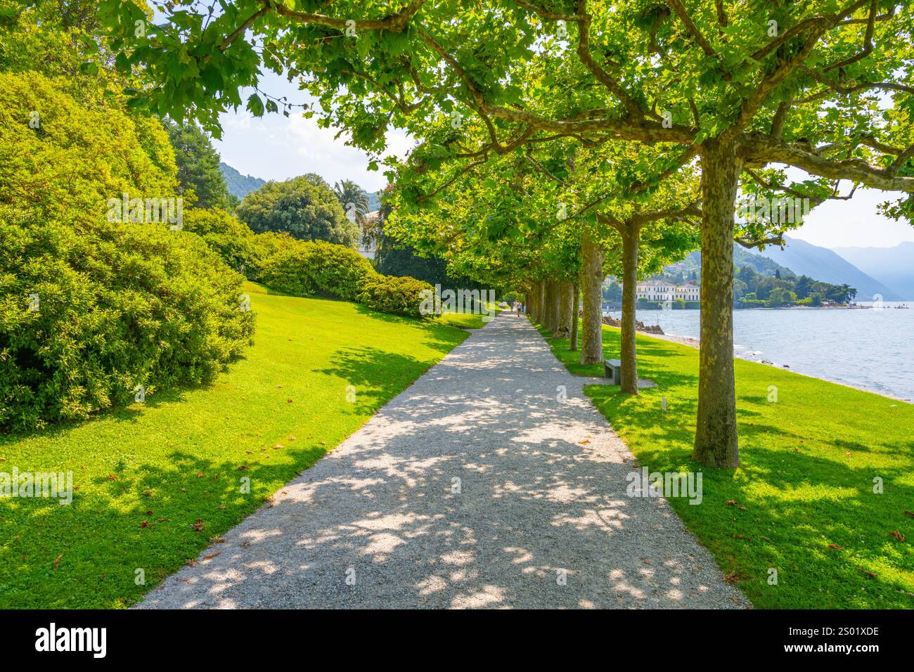 A tranquil pathway lined with trees invites visitors to stroll by the ...