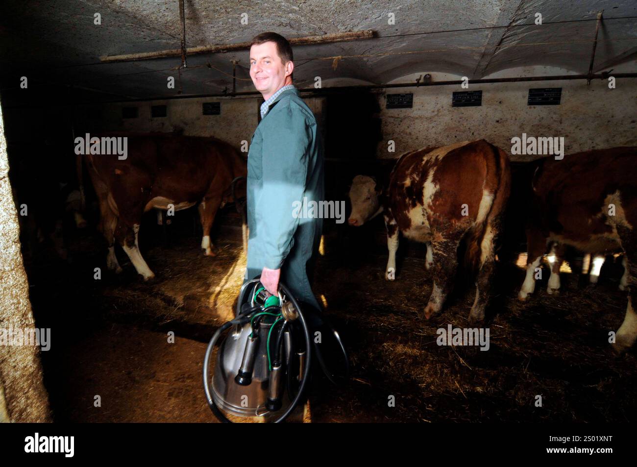 Farmer on his way to the cowshed with a portable milking machine, dairy ...