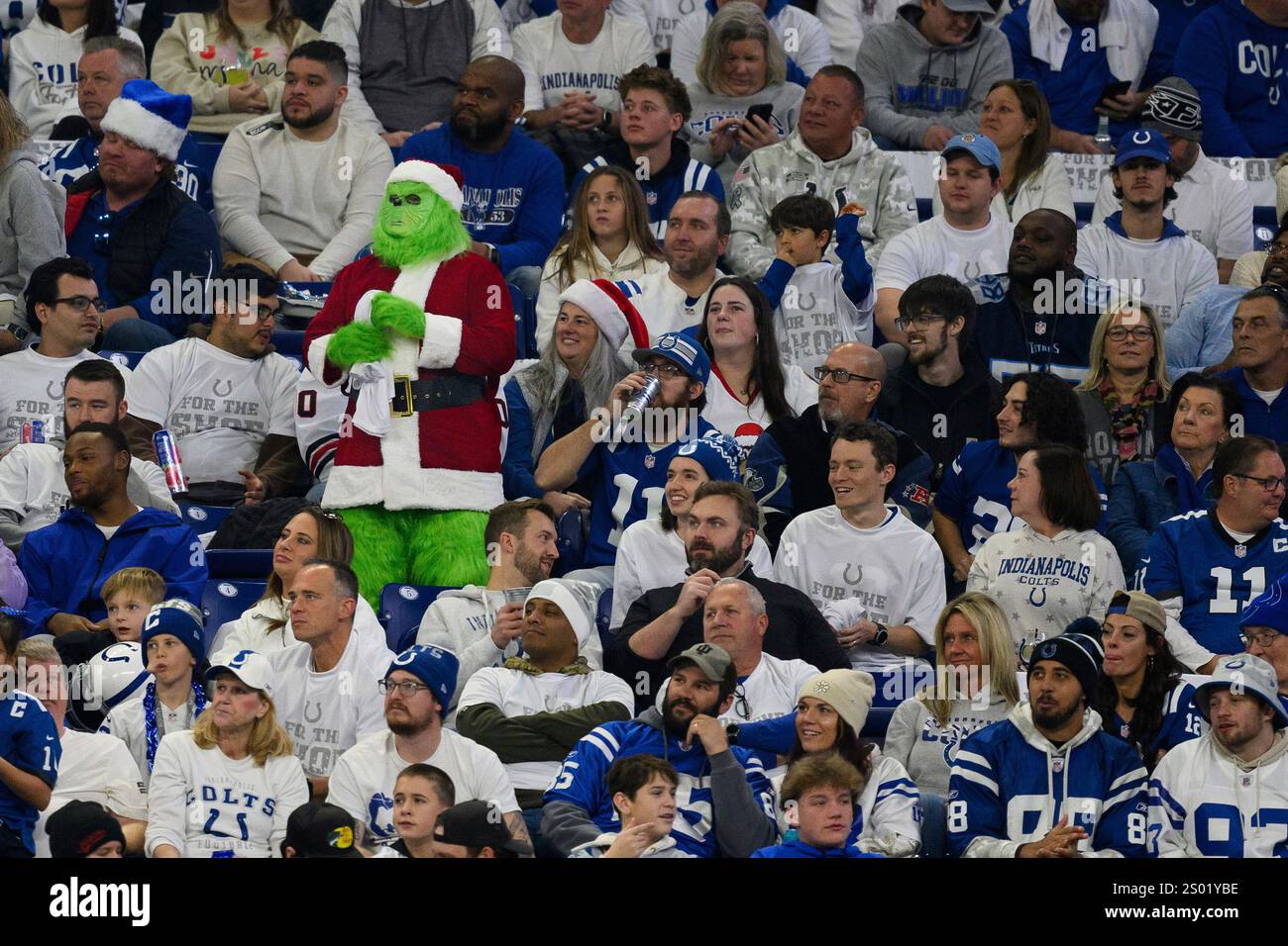 A fan dressed as the Grinch in the stands during an NFL football game ...