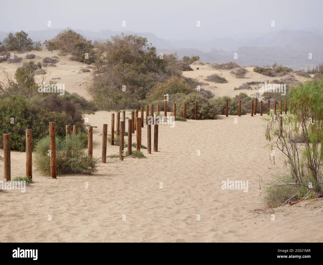 A walking trail fenced with wooden posts in a sand desert dune in ...