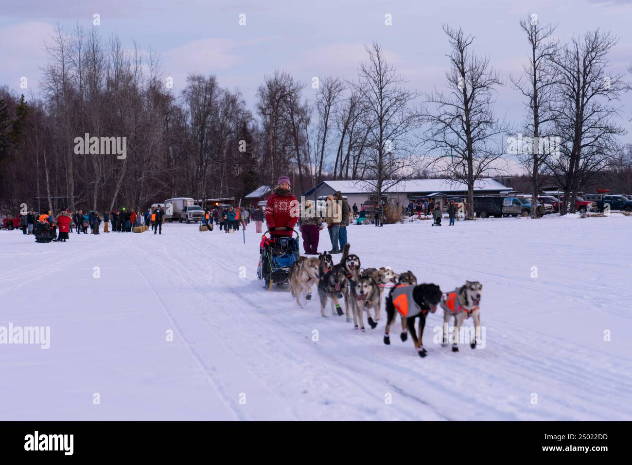 Alaska s Sled Dog Race Keeps Traditions Alive Wasilla, Alaska ...