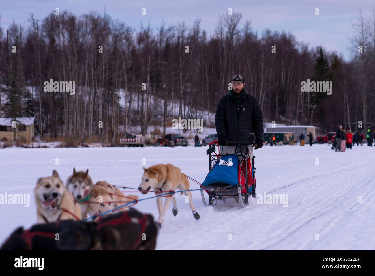 Alaska s Sled Dog Race Keeps Traditions Alive Wasilla, Alaska - December 21, 2024: A 100-mile ...
