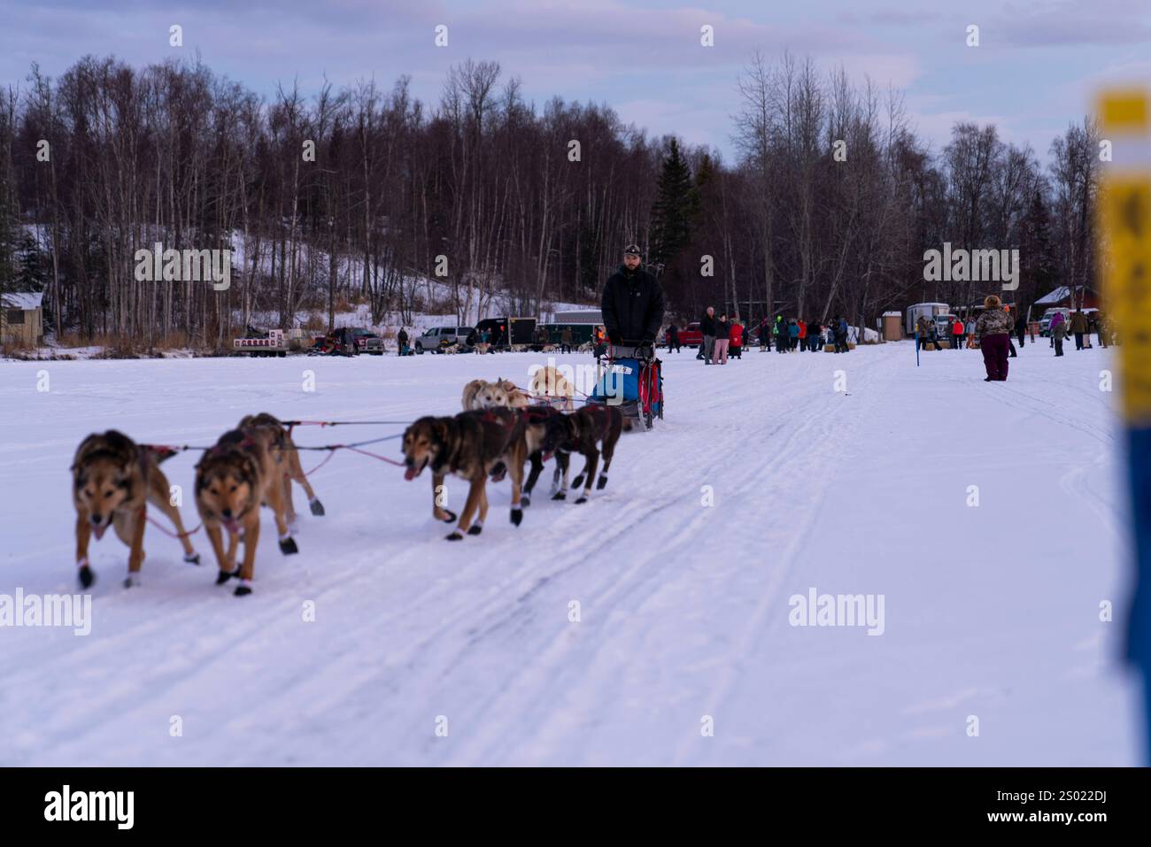 Alaska s Sled Dog Race Keeps Traditions Alive Wasilla, Alaska - December 21, 2024: A 100-mile ...