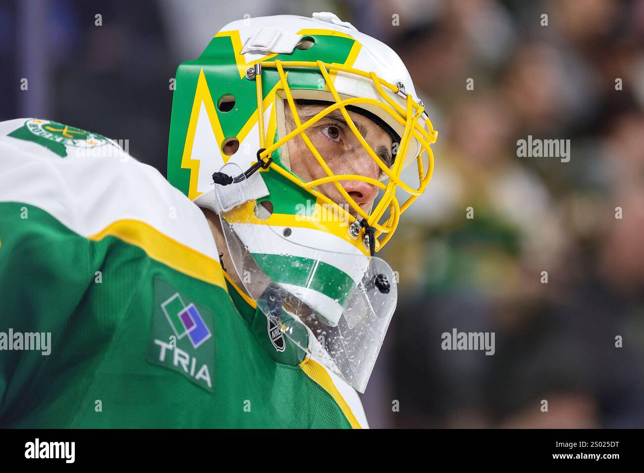 Minnesota Wild goaltender Marc-Andre Fleury (29) looks on during the ...