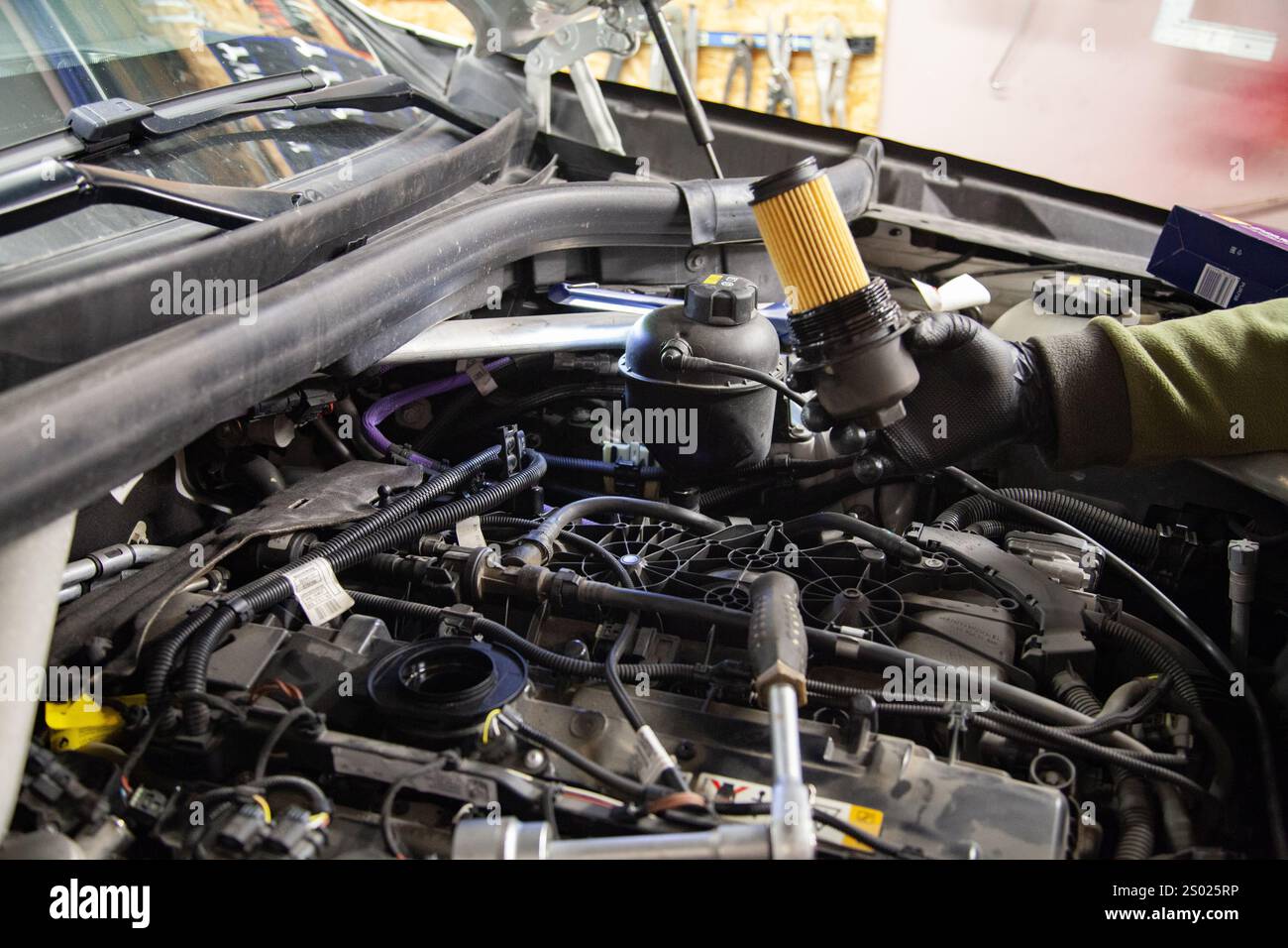 Auto mechanic work on changing oil filter in BMW Stock Photo - Alamy