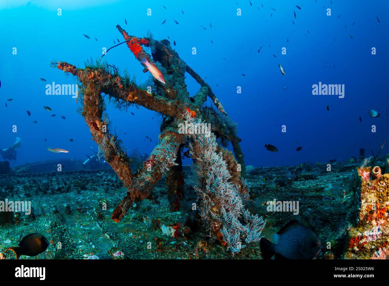 Underwater shipwreck of Boga (Kubu) off the coast of the Indonesian ...