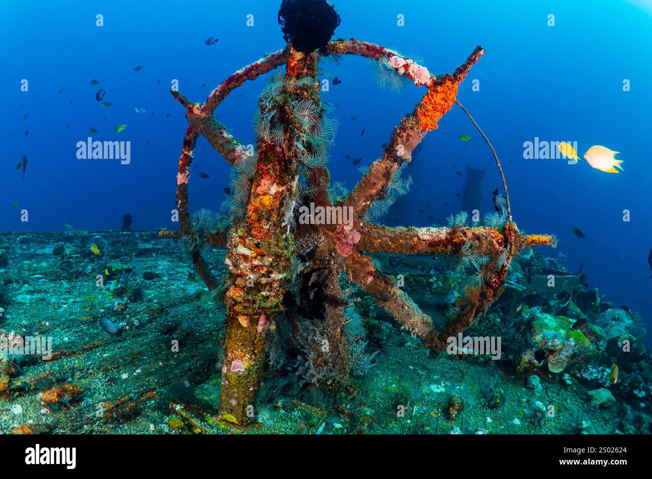 Underwater shipwreck of Boga (Kubu) off the coast of the Indonesian ...