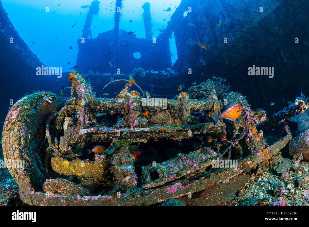 Underwater shipwreck of Boga (Kubu) off the coast of the Indonesian ...