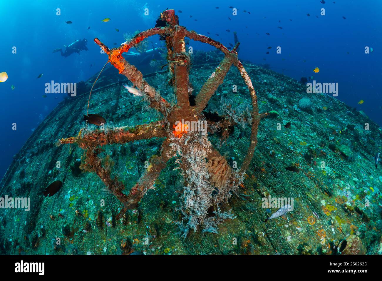 Underwater shipwreck of Boga (Kubu) off the coast of the Indonesian ...