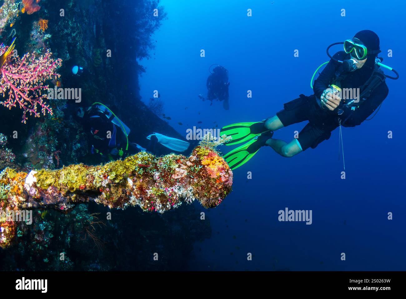 SCUBA diver exploring the large underwater shipwreck of USAT Liberty in ...
