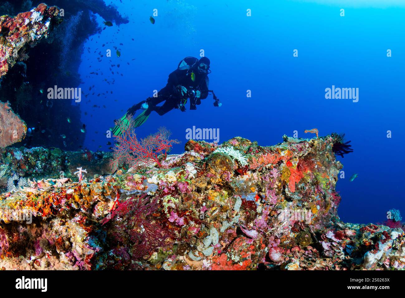 Underwater photographer on a large underwater shipwreck in a warm ...