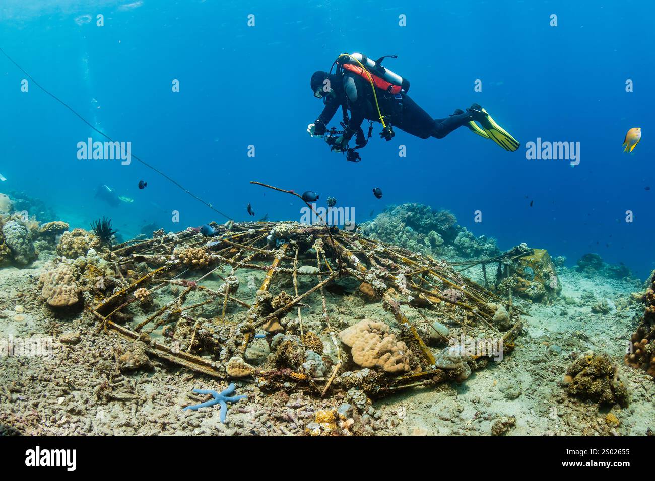SCUBA diving underwater photographer next to a shallow artificial coral ...