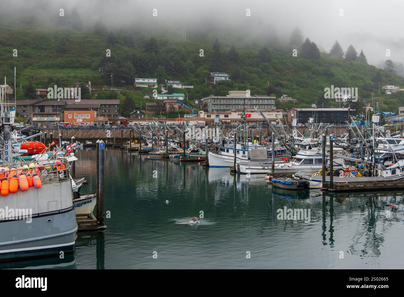 Many different types of boats occupy the harbor in Kodiak, Alaska ...