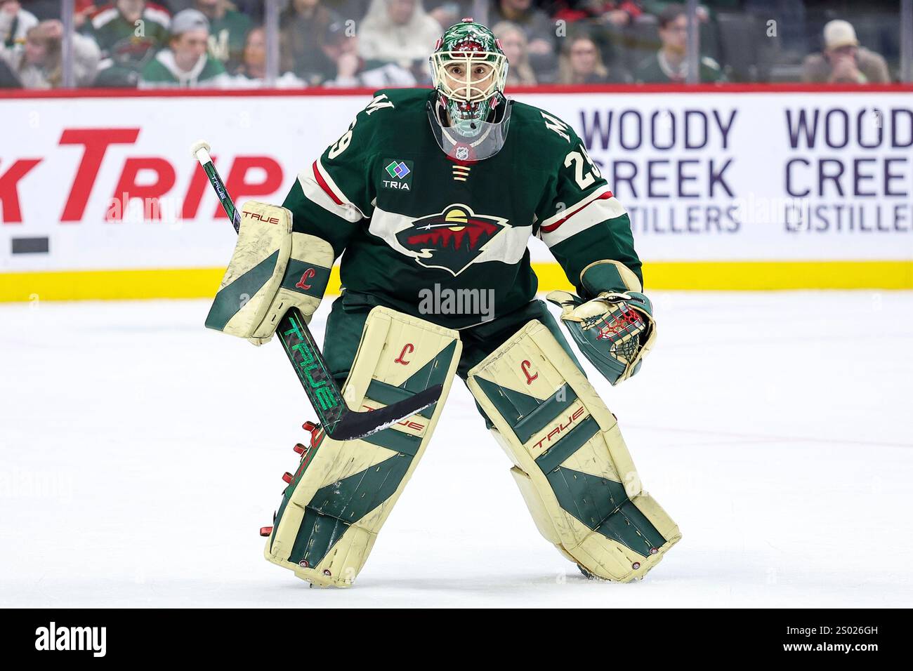 Minnesota Wild goaltender Marc-Andre Fleury (29) skates during the ...
