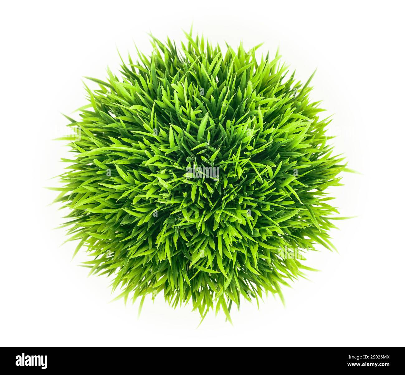 the creative grass ball; isolated Stock Photo - Alamy
