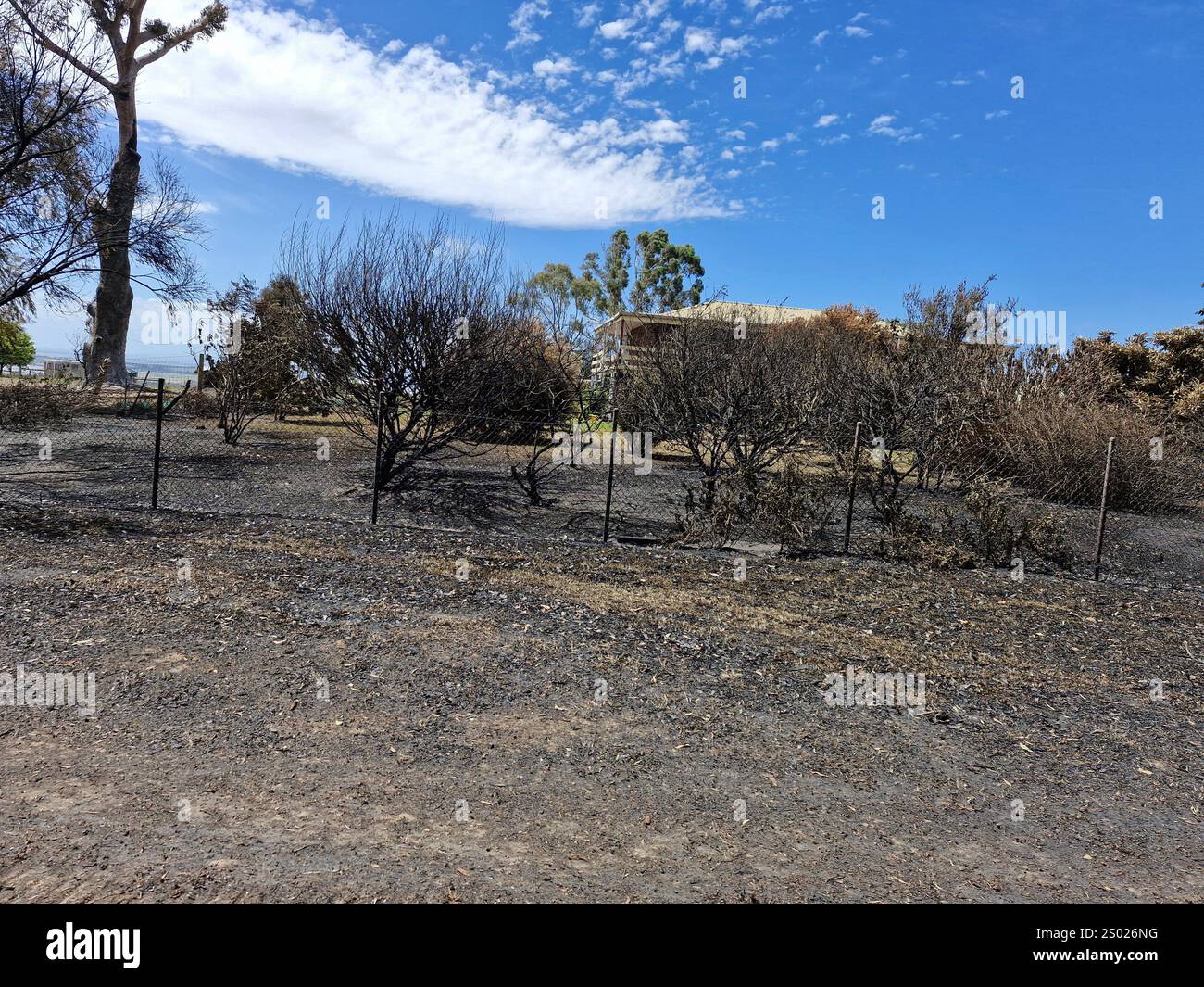 The Gurdies-St Helier Rd Victoria Australia bushfire 2024 Stock Photo ...