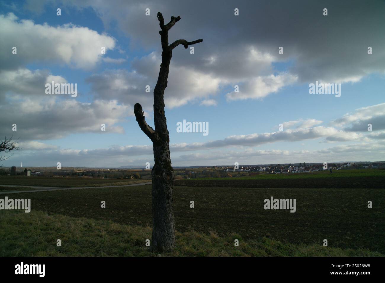 Toter Baum mit blick ins Dorf Weil im Schönbuch Stock Photo - Alamy