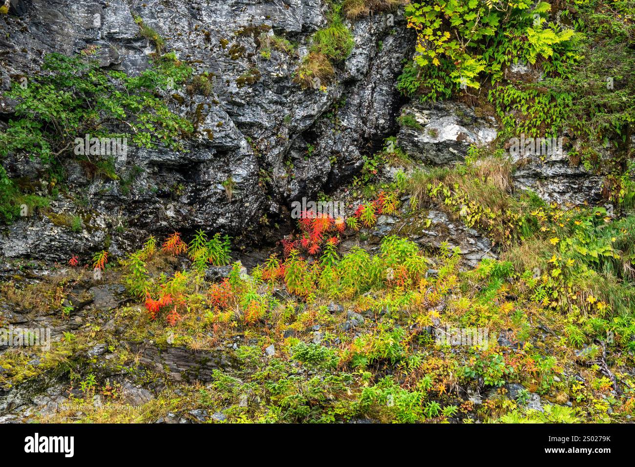 Scenes from Afognak island, part of the Kodiak archipelago off the ...
