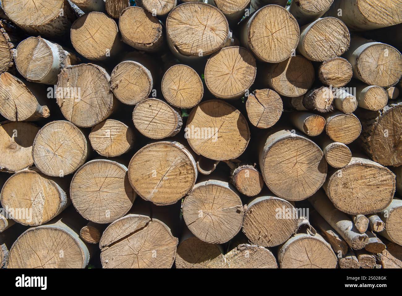 Close-up view of stacked firewood logs showing natural wood texture ...