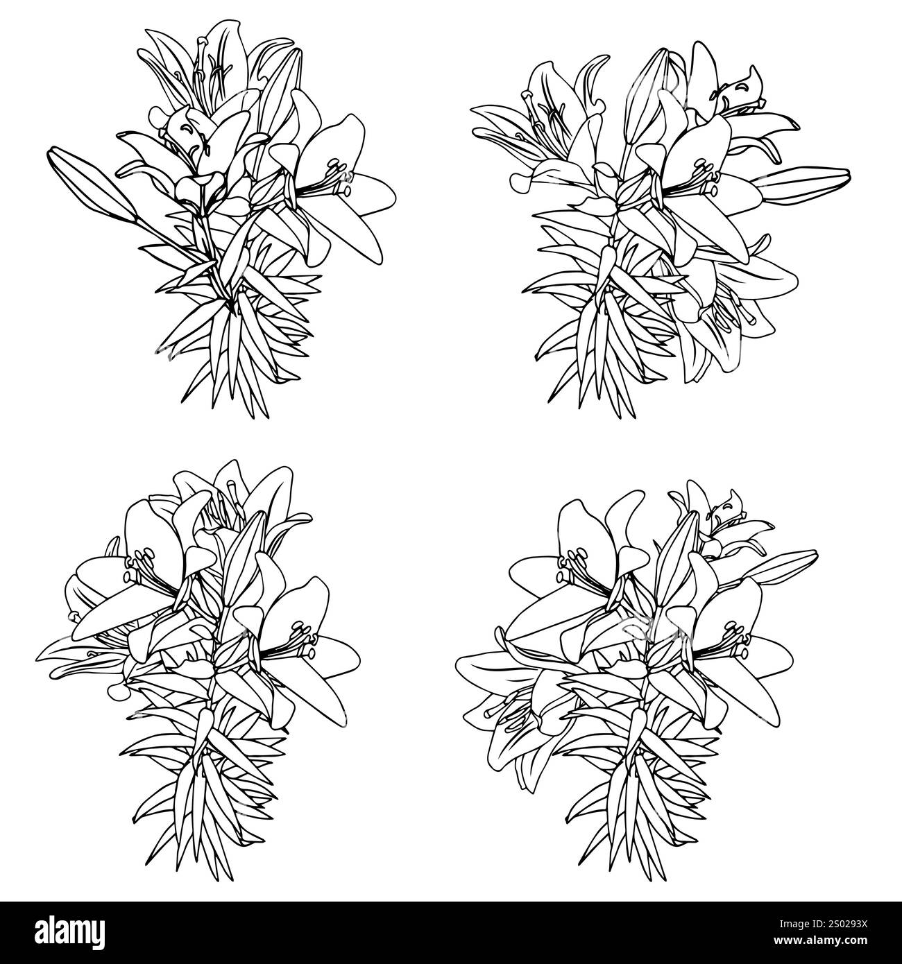 Set of lily bouquets in doodle style. Vector illustration isolated on white background Stock ...