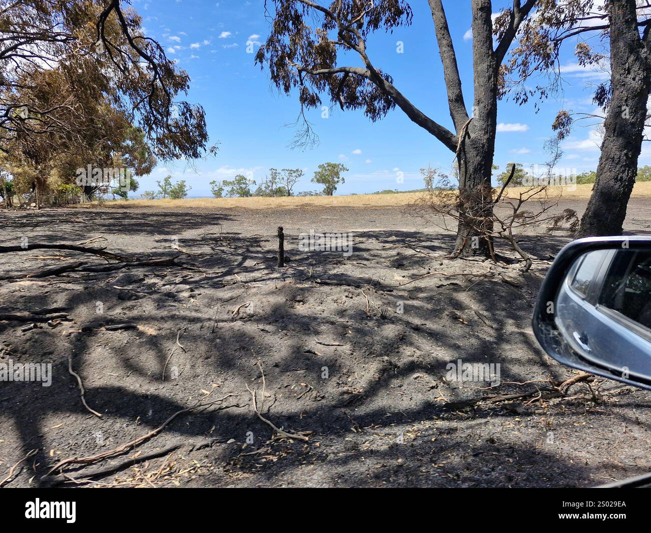 The Gurdies-St Helier Rd Victoria Australia bushfire 2024 Stock Photo ...