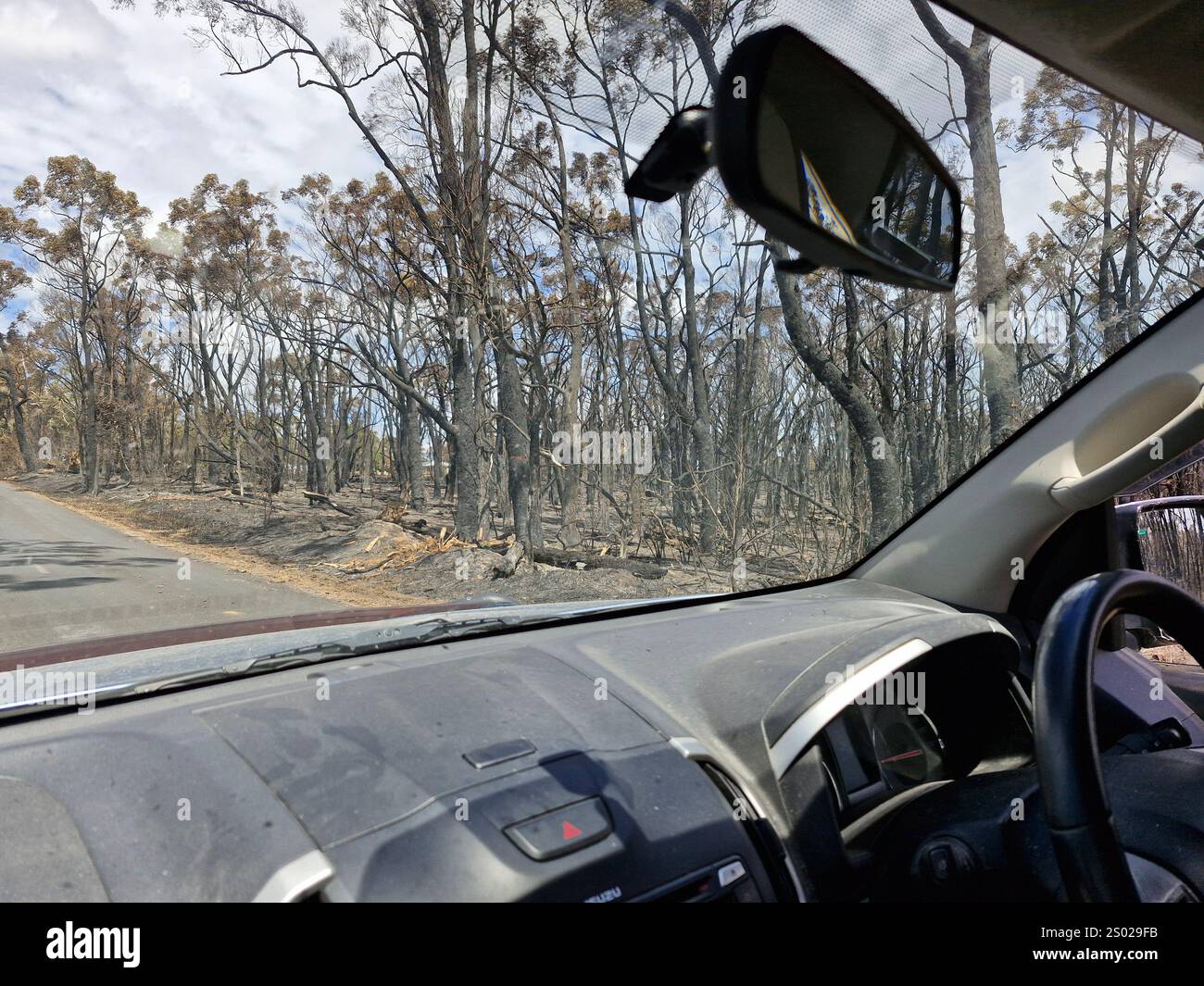 The Gurdies-St Helier Rd Victoria Australia bushfire 2024 Stock Photo ...
