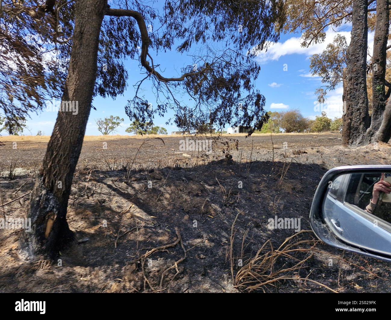 The Gurdies-St Helier Rd Victoria Australia bushfire 2024 Stock Photo ...