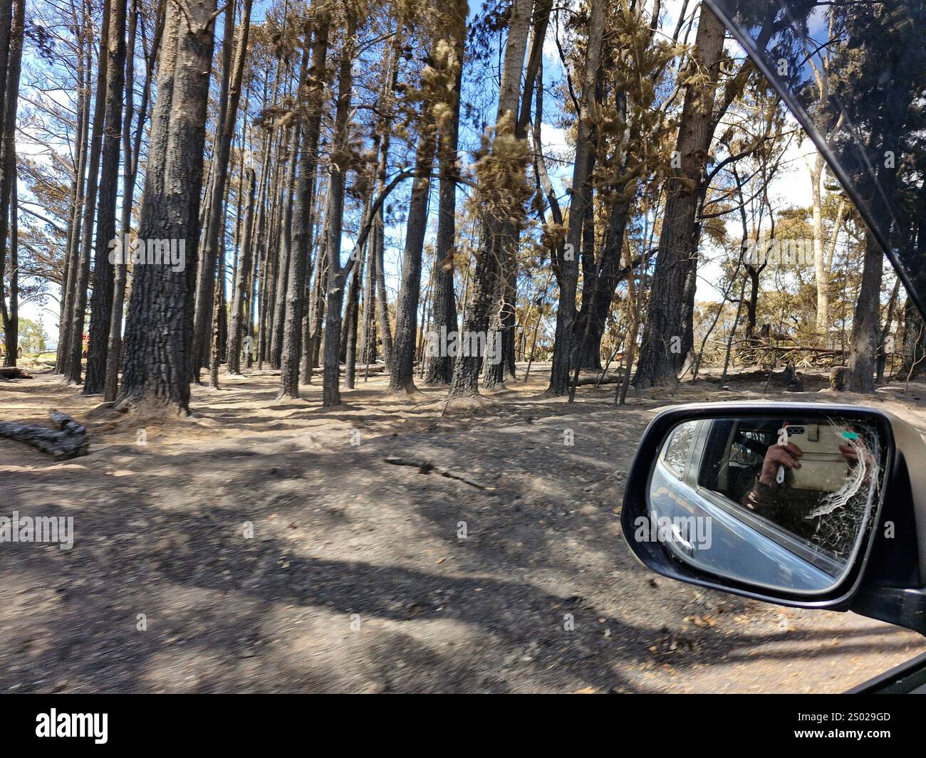 The Gurdies-St Helier Rd Victoria Australia bushfire 2024 Stock Photo ...