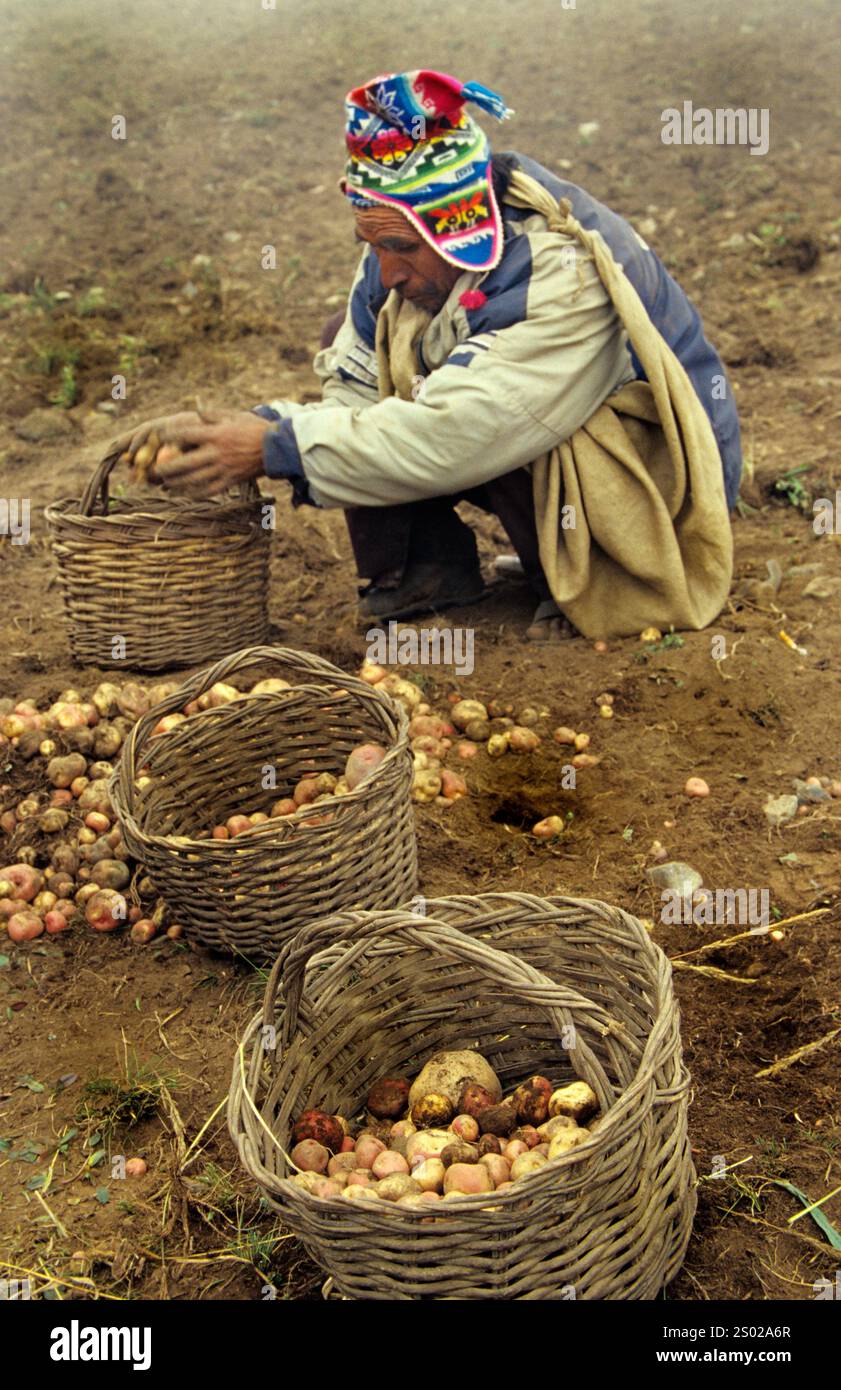 Rural bolivia economy hi-res stock photography and images - Alamy