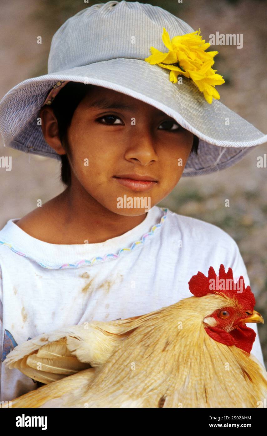 Chicken farming bolivia hi-res stock photography and images - Alamy