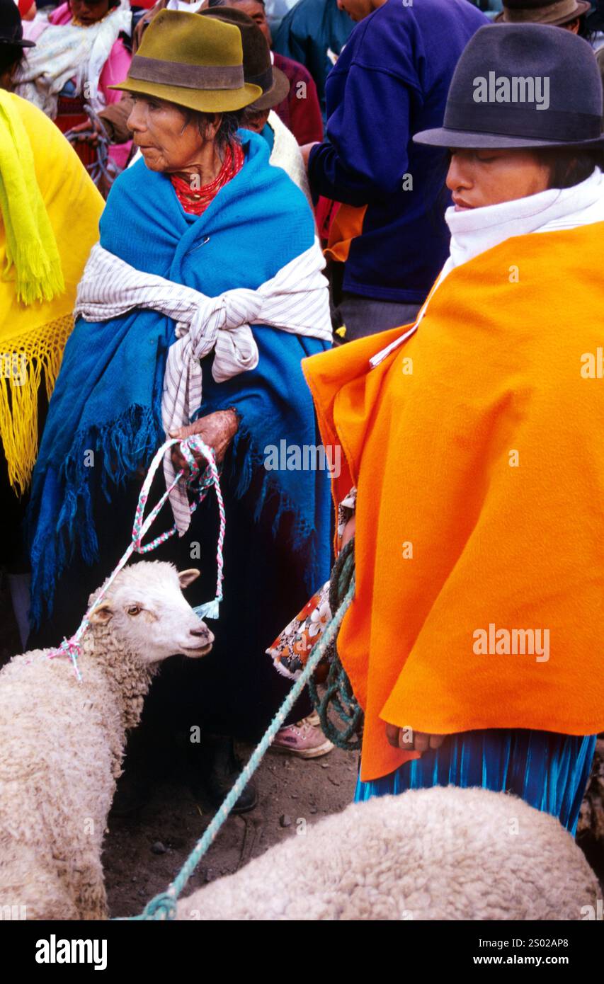 Indigenous women in traditional clothing with sheep at Latacunga market ...
