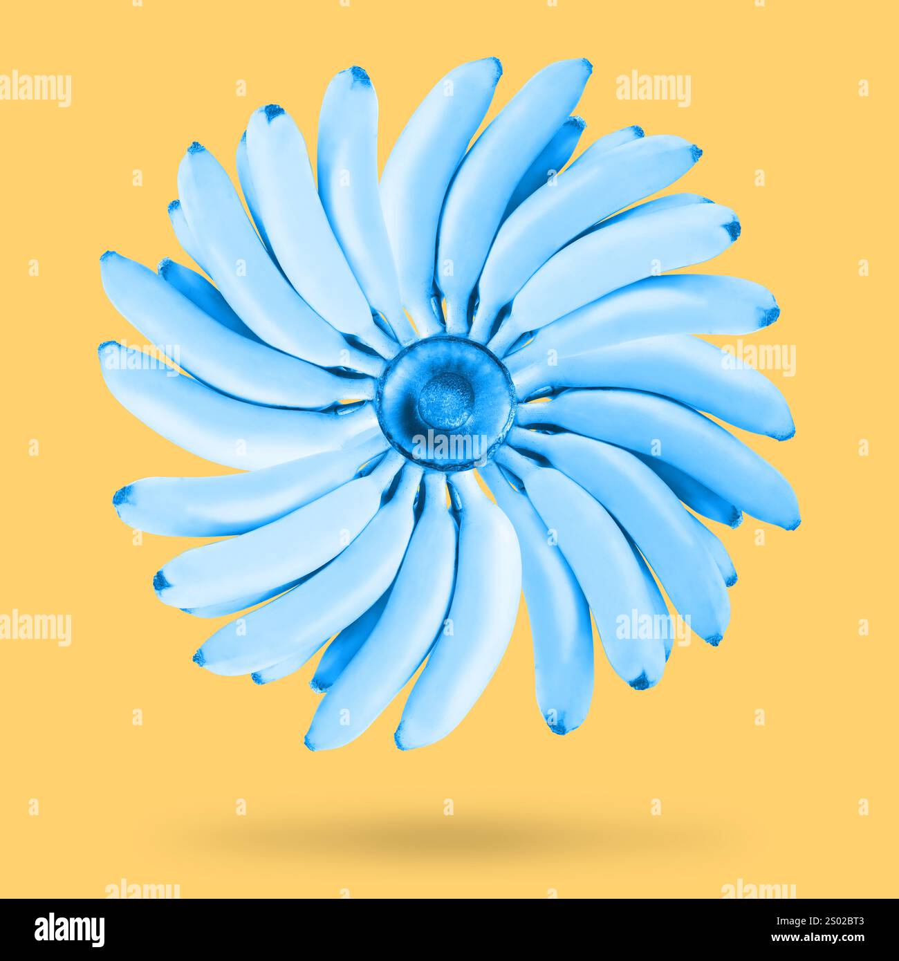 Light blue bananas in air on pale orange background Stock Photo - Alamy