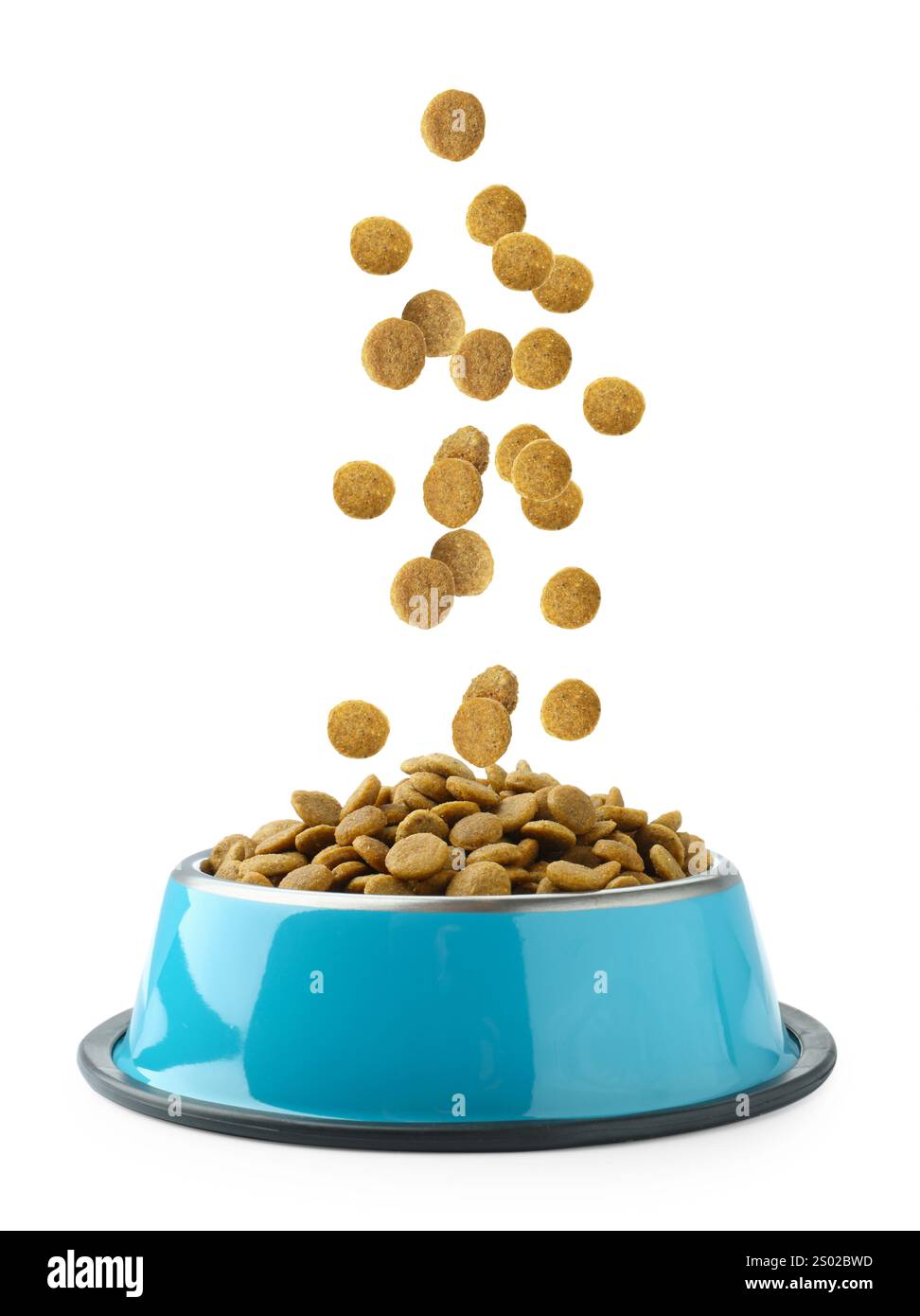 Dry pet food falling into bowl on white background Stock Photo - Alamy