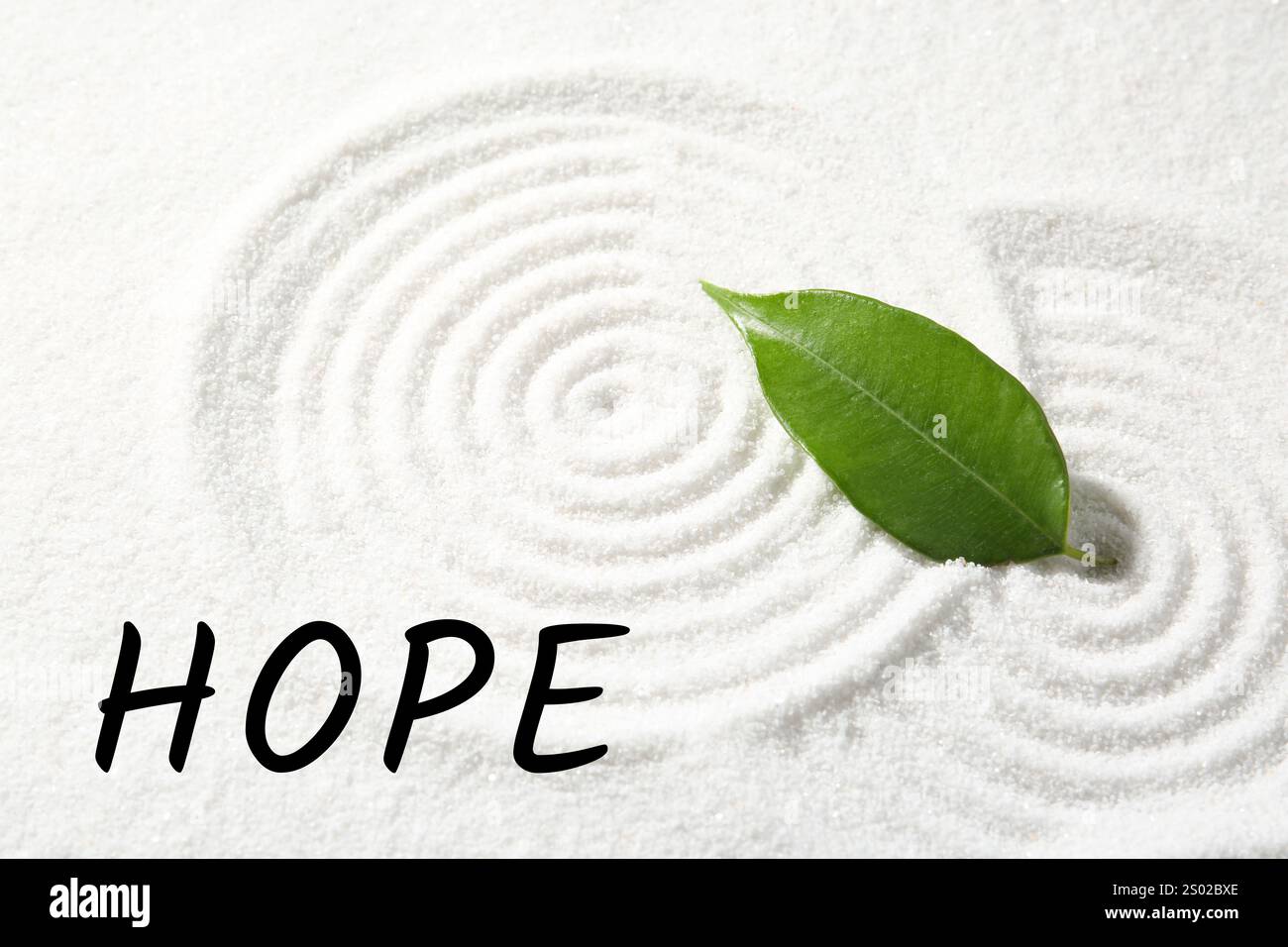 Hope. Zen garden with green leaf and pattern on white sand Stock Photo ...