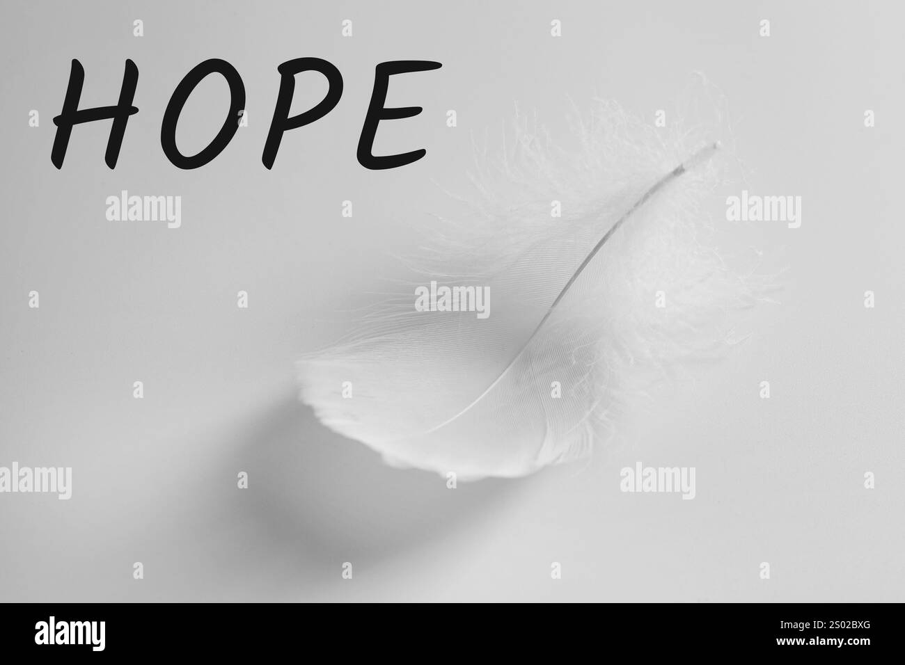 Hope. Beautiful fluffy feather on white background Stock Photo - Alamy